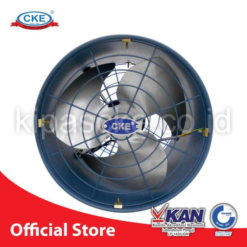 Jual Cke Drum Fan 12 Inch 220 Volt Dfl-ex12/1-yl Blower Gedung Di ...