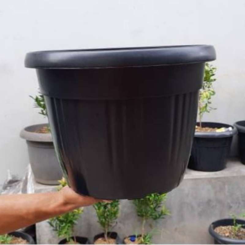 Jual Pot Hitam Grace/gloria Diameter 35-70cm / Pot Tanaman - 45cm Di ...