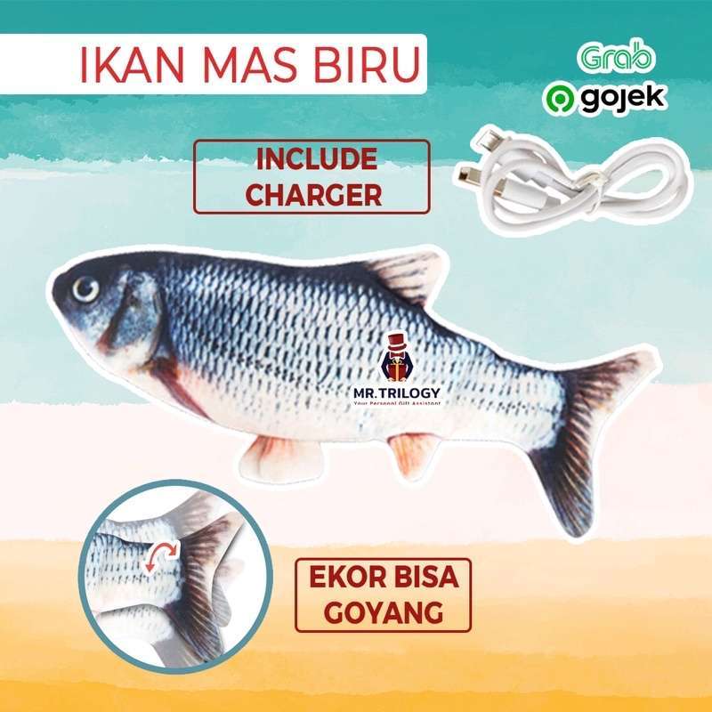 Promo Mainan Ikan Goyang-goyang,uget Uget Masak-masakan, Kado Anak Lucu ...