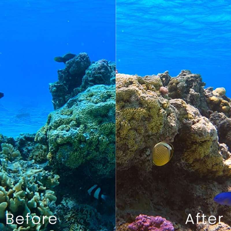 Jual Telesin Waterproof Red Filter Underwater For Gopro Hero 9 Di ...