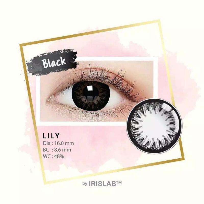 Jual Softlens Lily Big Eyes Normal / Soflen Lily By Iris Lab - Grey Di ...