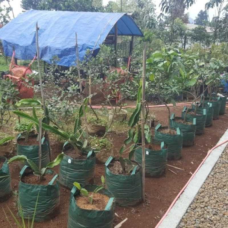 Jual Planter Plenter Bag 100 Liter Easy Grow Planterbag Pot Bunga ...