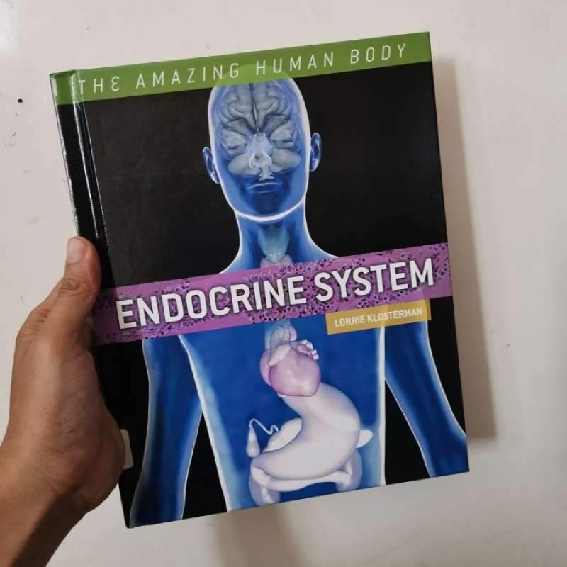 Jual Import Book Endocrine System By Lorrie Klosterman Di Seller ...