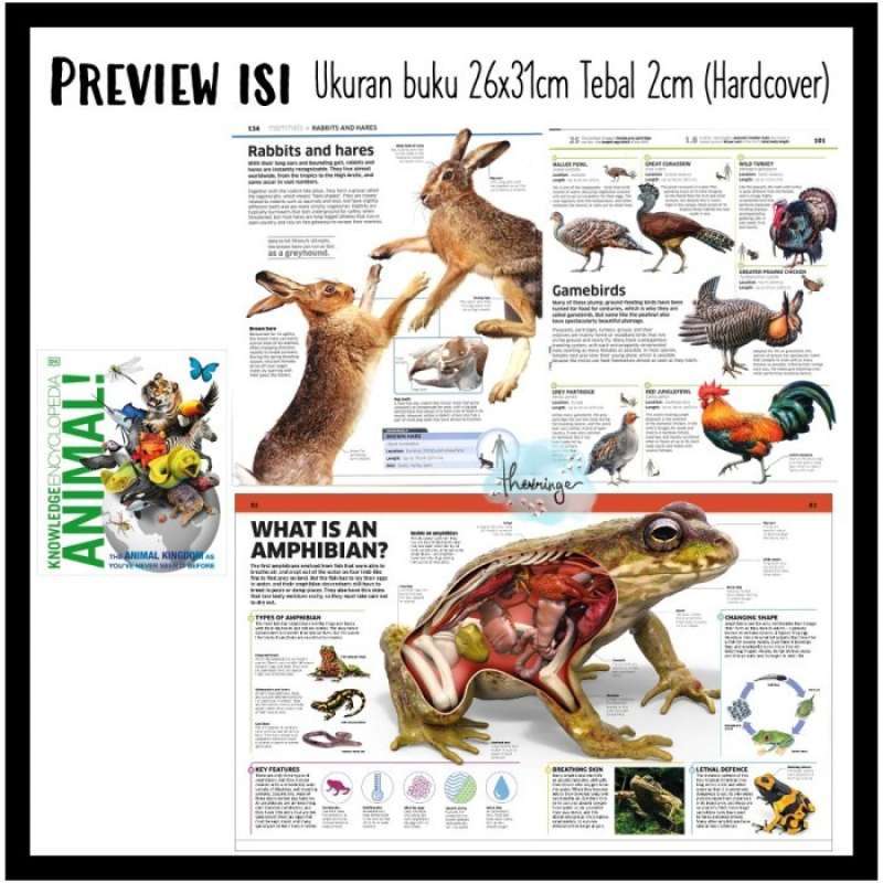 Jual Dk Knowledge Of Encyclopedia Human Body Animals Dinosaur Space ...