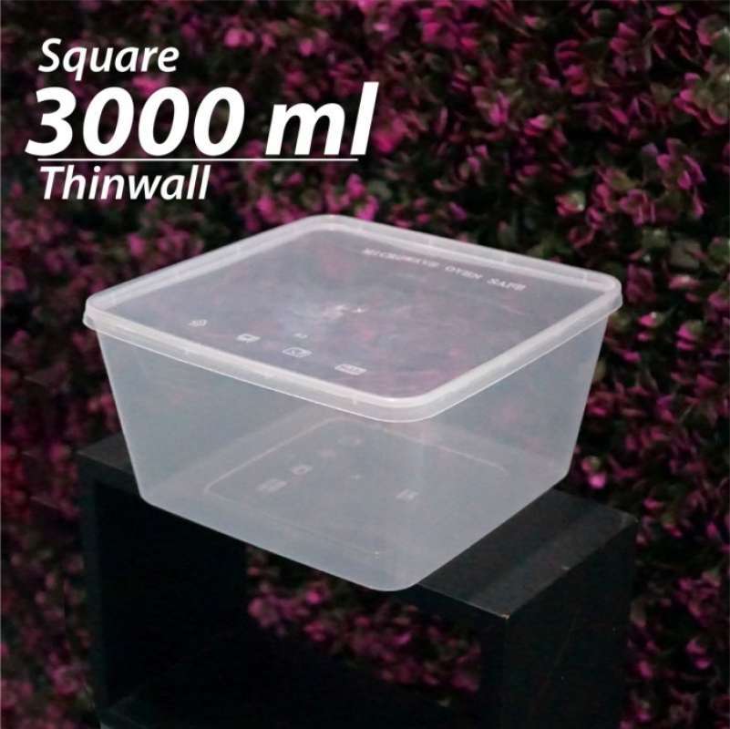 Jual Thinwall / Food Container / Kotak Makanan 3000 Ml Isi 10 Pcs Di ...