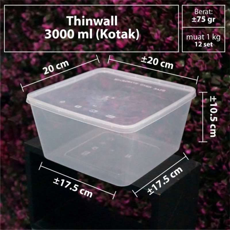Jual Thinwall / Food Container / Kotak Makanan 3000 Ml Isi 10 Pcs Di ...