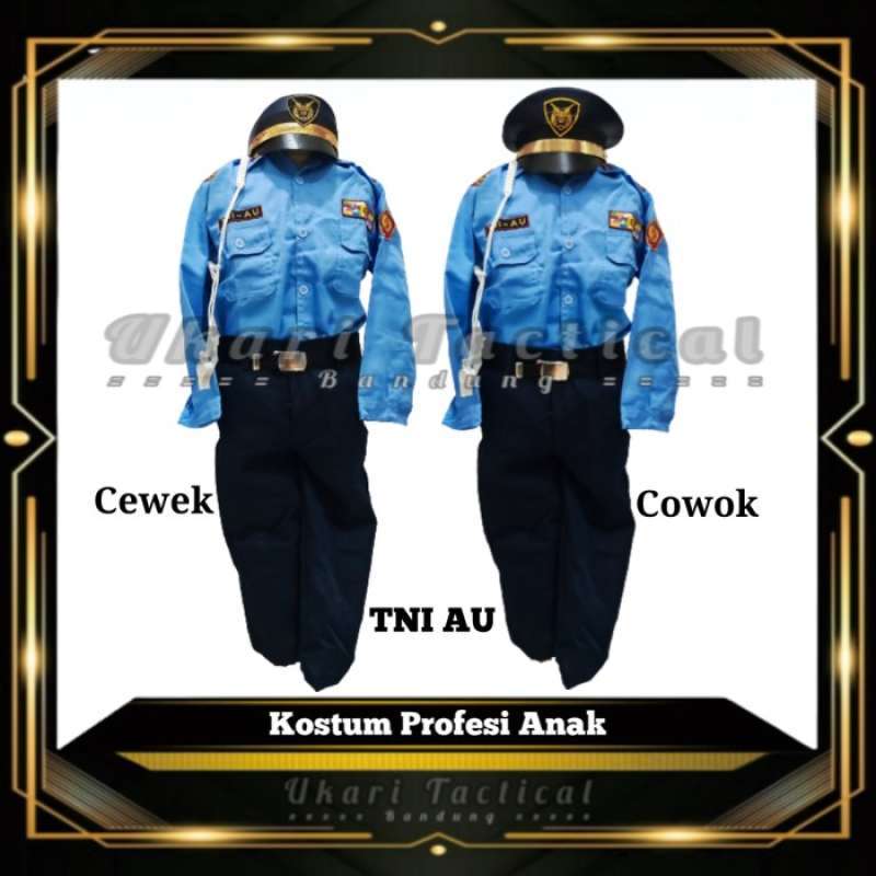 Jual Seragam Kostum Profesi Anak Tni Au Baju Karnaval Anak Cosplay - Au ...