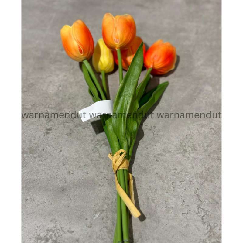 bunga tulip harga