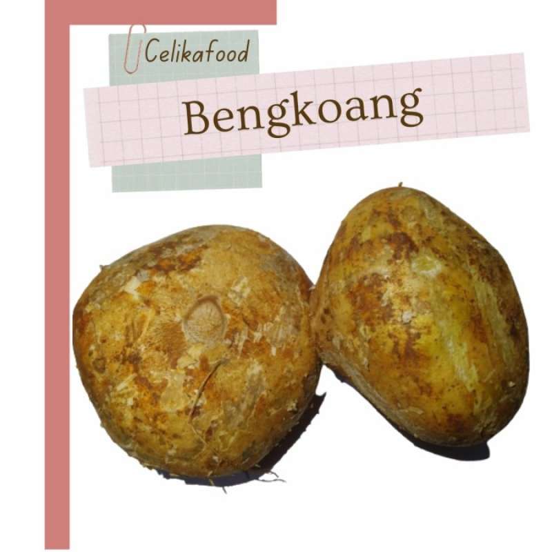 Jual Bengkoang 500gr Bangkuang Bengkuang Umbi Putih Fresh Di Seller ...