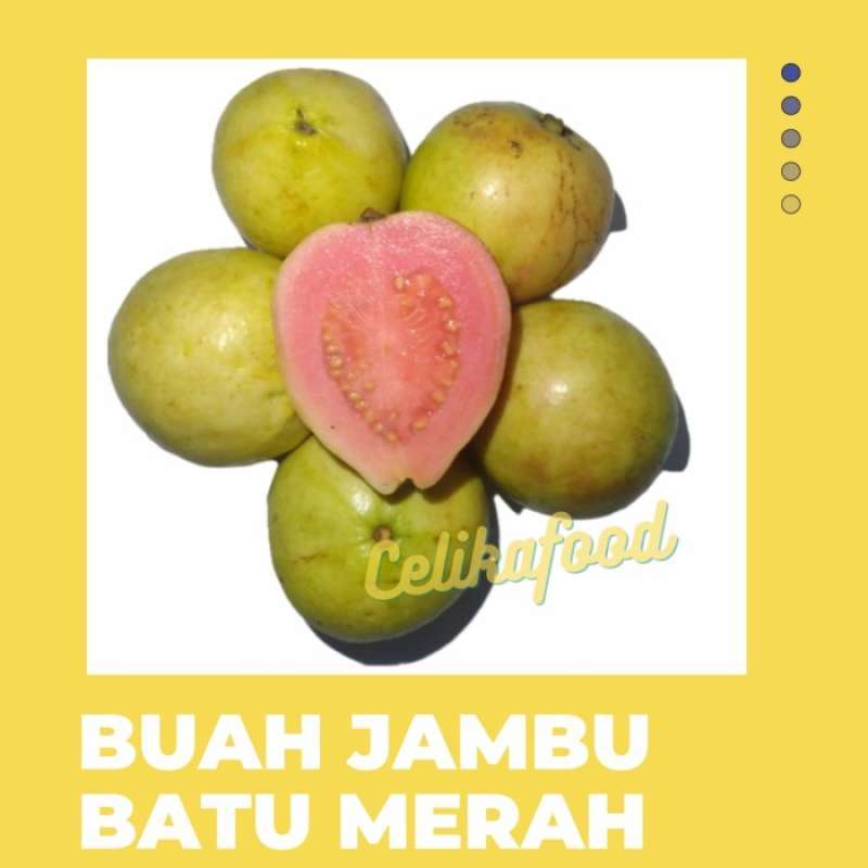 Buah Jambu Batu Permintaan Jambu Biji Meningkat Foto ANTARA News