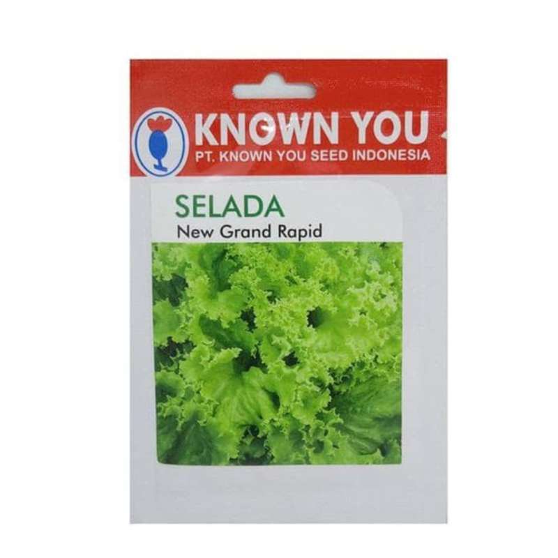 Jual SELADA NEW GRAND RAPID 5 GRAM PACK KECIL Benih Biji Selada Hijau Keriting Known You Seed ...