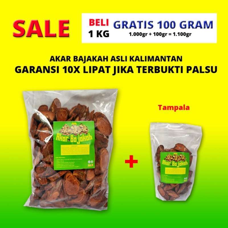 Jual Bajakah Tunggal 1 kg Obat Kanker Tumor AKar Bajakah Tempala Asli ...