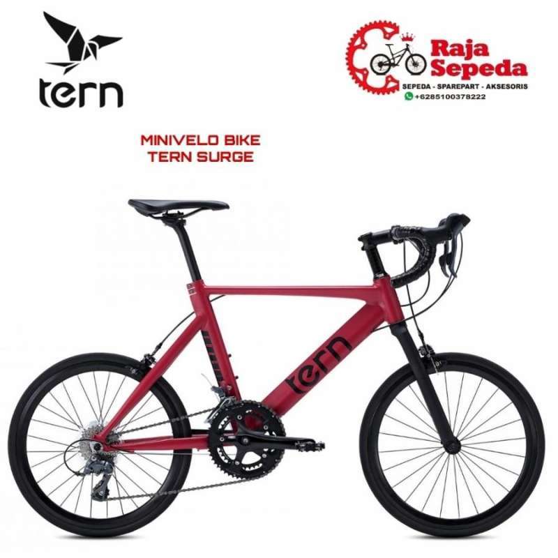 Jual Tern Minivelo Original Terbaru - Harga Promo Murah Juli 2024 | Blibli