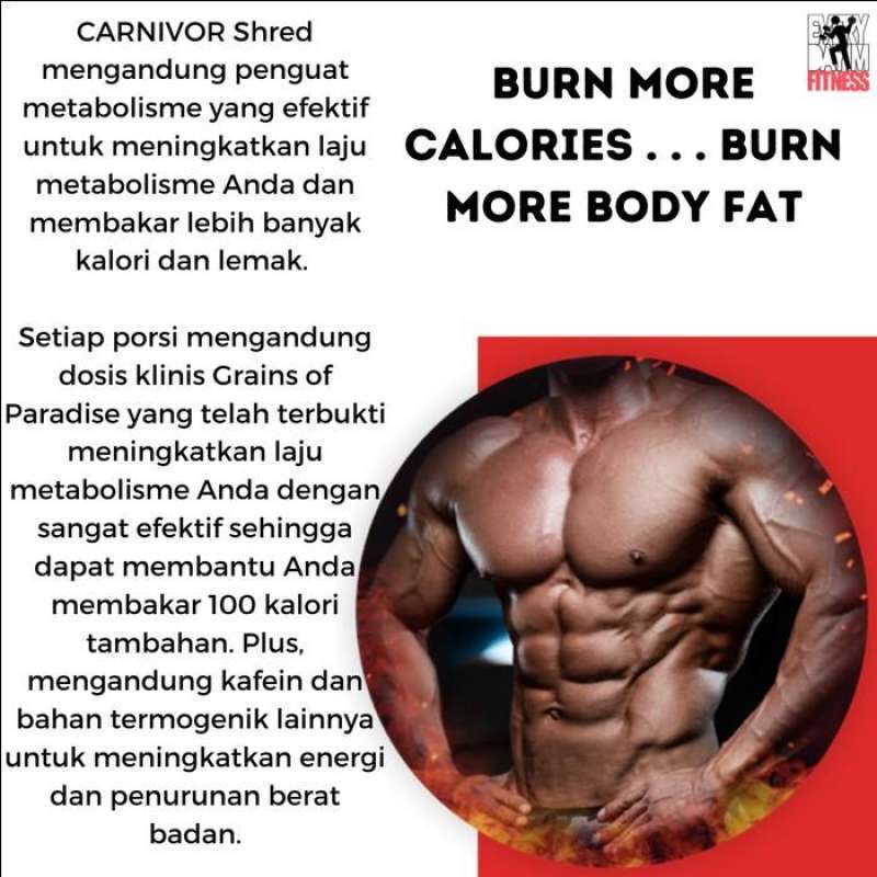 Promo Musclemeds Carnivor Shred 4 Lb Lbs Isolate Beef Protein Fat ...