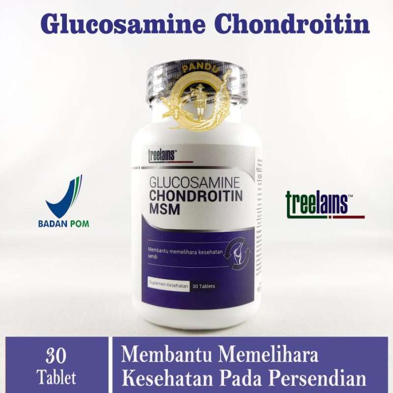 Glucosamine Chondroitin Msm Obat Apa at Gabriel Basser blog
