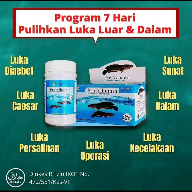 Jual Pro Albumin | Kapsul Ikan Gabus | Kapsul Ikan Kutuk | Albumin ...