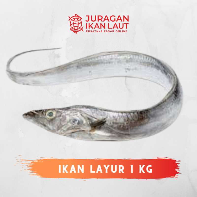Ikan Layur Segar Gratis Ongkir 🏷️ Harga Murah April 2026