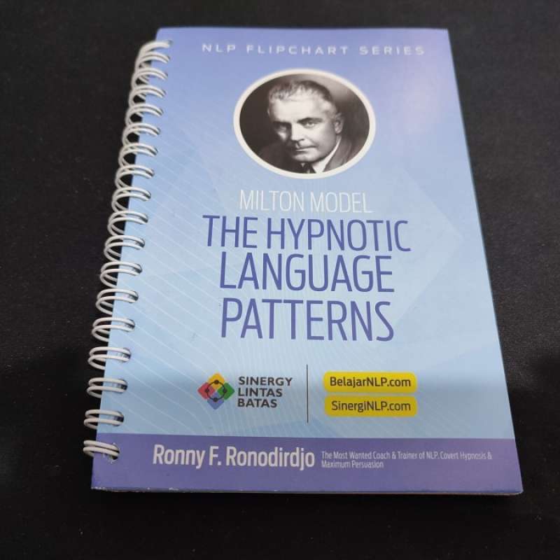 Milton Model Language Patterns