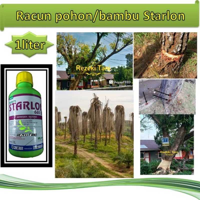 Promo Starlon Herbisida Racun Pohon Bambu Rumput Rambatan Kemasan 1 ...