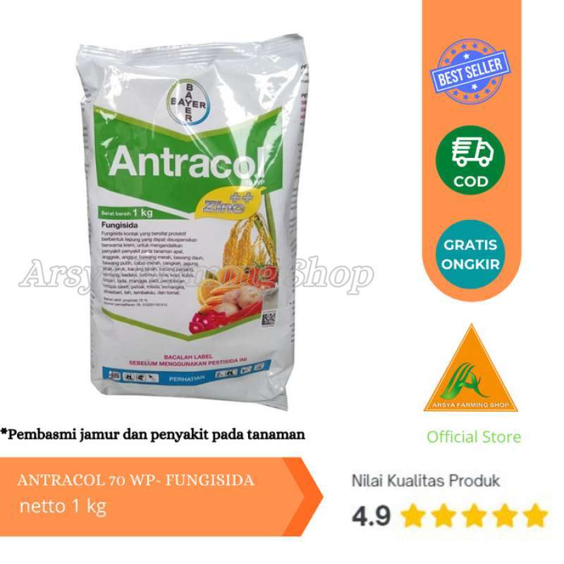 Promo fungisida kontak antracol 70 wp 1 kg pengendali penyakit tanaman ...