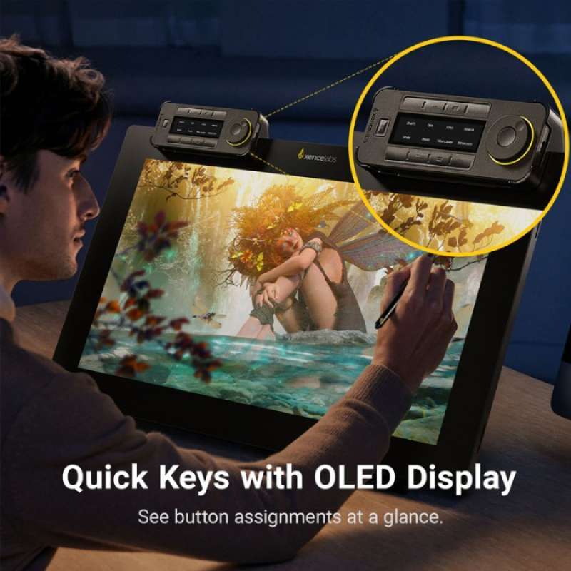 Jual Xencelabs Pen Display 24Inch 4K sRGB Quick Keys& 2 Pen Drawing ...
