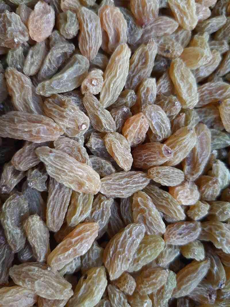 Jual Grosir-dus Organic Kismis Hijau Original 100% Afghanistan Green ...