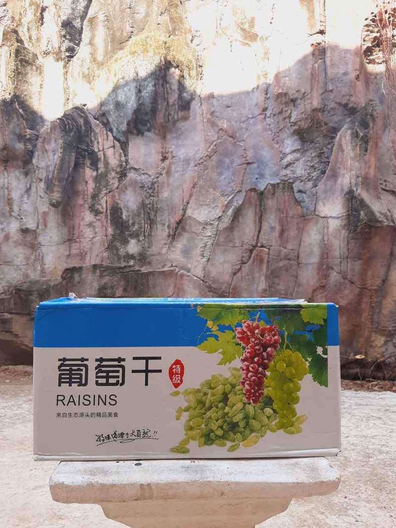 Jual Grosir-dus Organic Kismis Hijau Original 100% Afghanistan Green ...