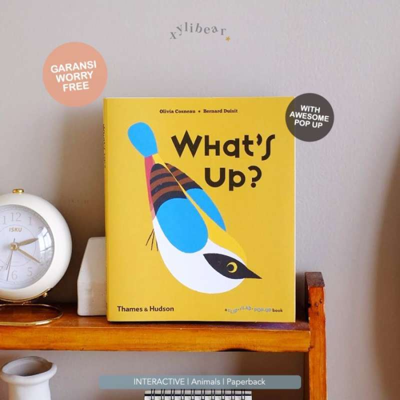 Promo What's Up - Interactive Sliders Pop Up Children Book - Buku Anima ...
