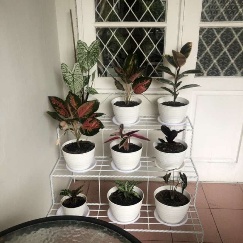 Promo Rak Pot Tanaman Atau Rak Pot Bunga 3 Susun Diskon 33% Di Seller ...