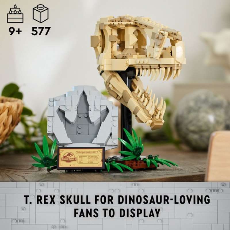 Jual LEGO Jurassic World 76964 Dinosaur Fossils: T. rex Skull (577 ...