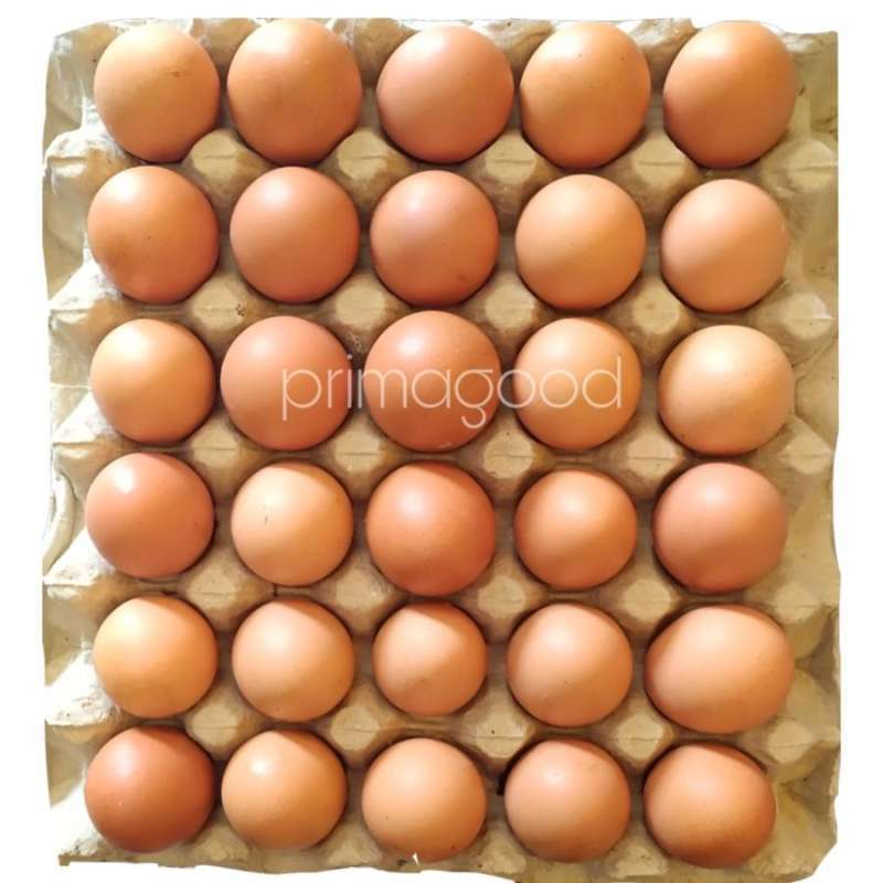 Jual Telor Muda 1 Kg Termurah - Harga Grosir Terupdate Hari Ini | Blibli