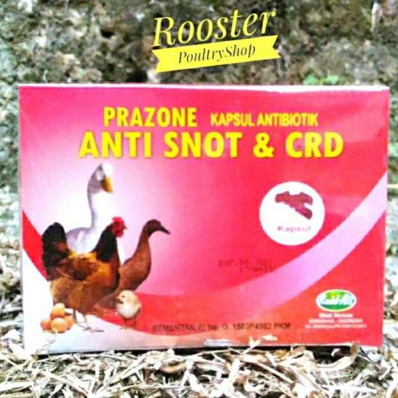 Promo Anti Snot Prazone By Raid All Isi 30 Sachet Obat Ayam Sakit Pilek ...