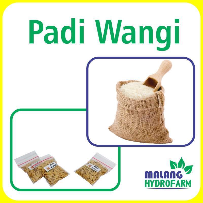 Jual Bibit Belut Sawah Terbaik Mei 2024 - Harga Murah & Gratis Ongkir ...
