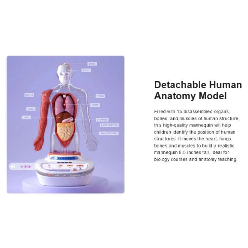 Promo SCIENCE CAN HUMAN BODY ANATOMY MY BODY VOICE PEDIA ANATOMI TUBUH ...