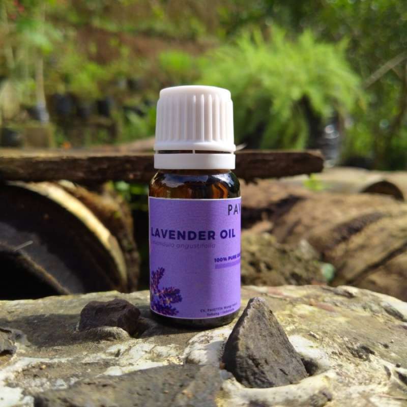 Promo 10 ml sampel - true lavender / lavender oil (Lavandula ...