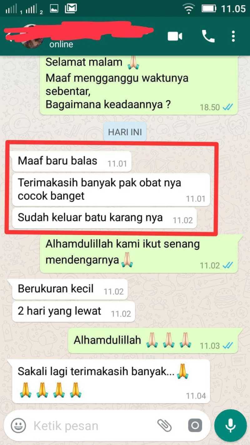 Jual Obat Ginjal Bengkak - Batu Ginjal Kelebihan Protein / Proteinuria ...