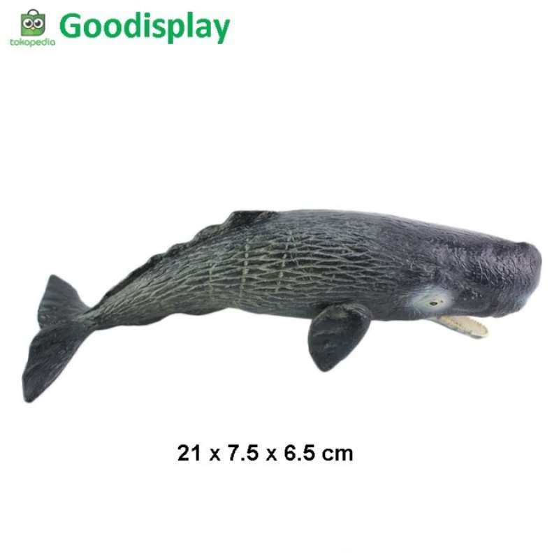 Promo mainan pajangan miniatur hewan laut ikan paus animal sperm whale ...