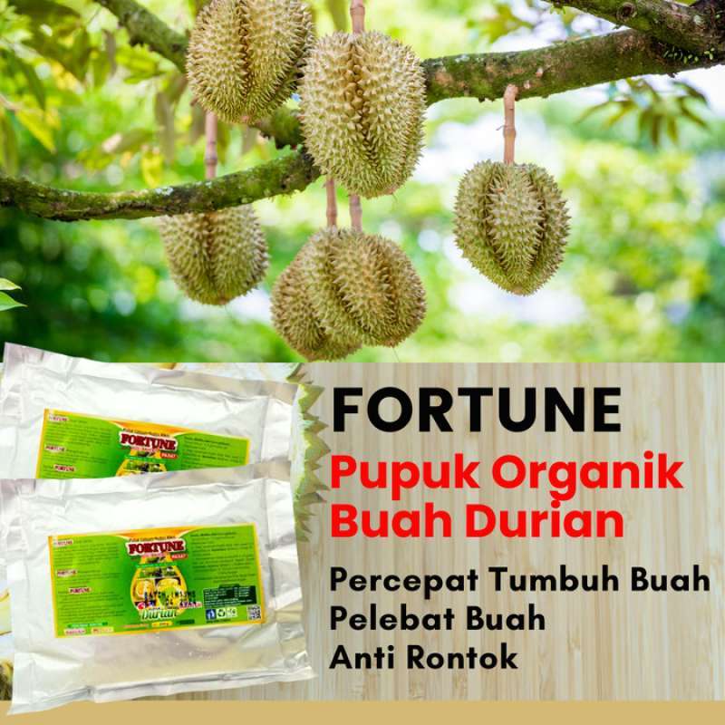 Promo Booster Durian Musang King, Pupuk Buah Durian Agar Berbuah Lebat Diskon 9% di Seller ...
