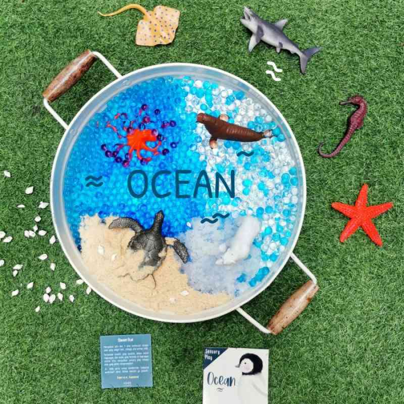 Promo Sensory Rice Ocean Theme / Sensory Play Animal Sea Figurine ...