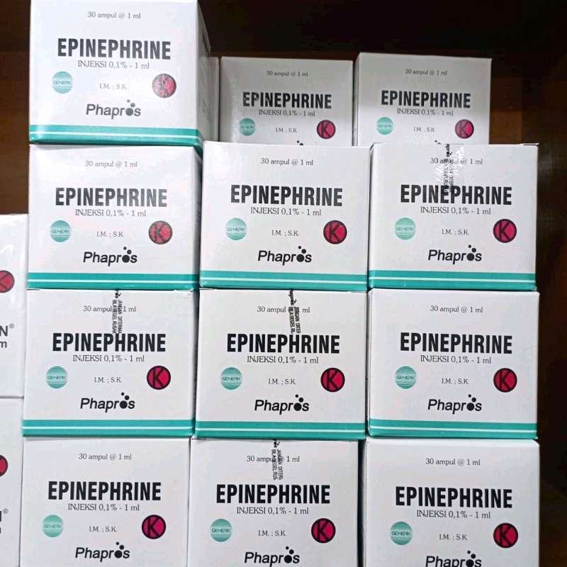 Epinephrine Eceran Lengkap Harga Terbaru Maret 2024 | Blibli