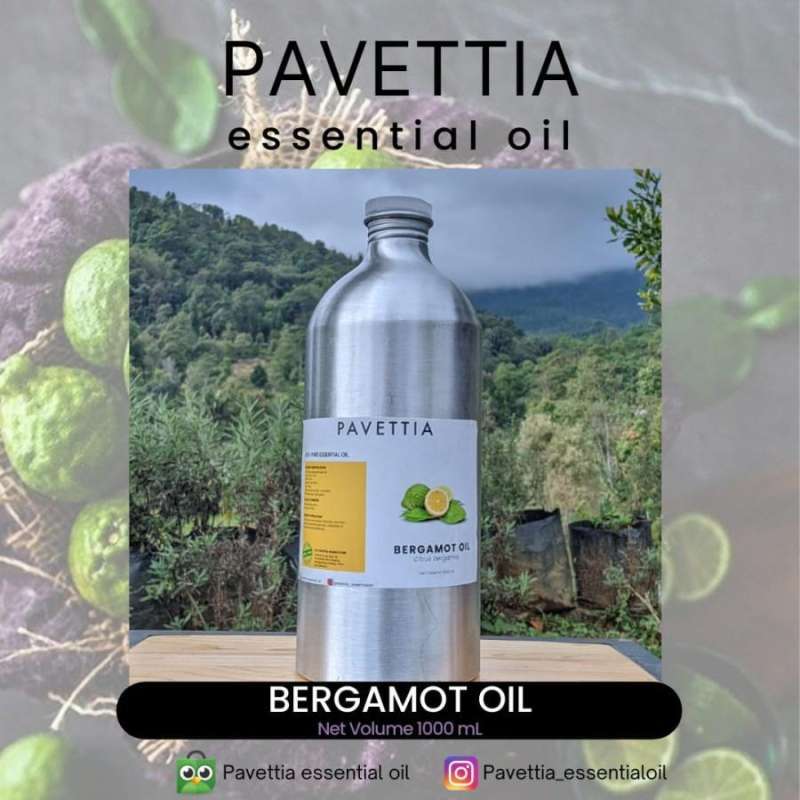 Jual 1000 Ml - Minyak Atsiri Jeruk Bergamia / Bergamot Oil Di Seller ... Jual 1000 Ml - Minyak Atsiri Jeruk Bergamia / Bergamot Oil Di Seller ...