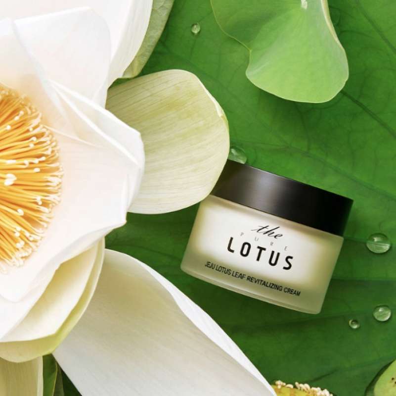 Promo The Pure Lotus Jeju Botanical Revitalizing Cream Diskon 33% Di ...