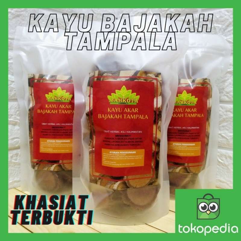 Jual Kayu Akar Bajakah Tampala Super 100% Asli Kalimantan 200gram Di ...