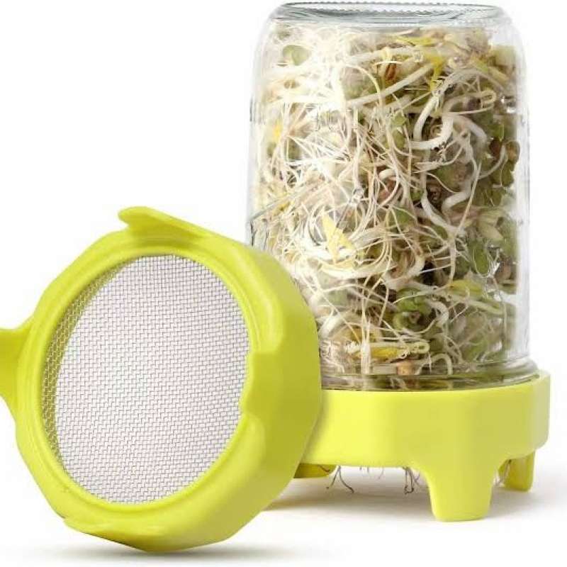 Jual Ball Mason Jar - Sprouting Lid / Strainer Wide Mouth - Tutup ...