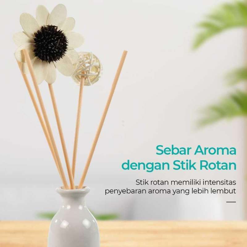 Jual Pengharum Ruangan Reed Diffuser With Rattan Stick 30ml 2023 Kasur ...