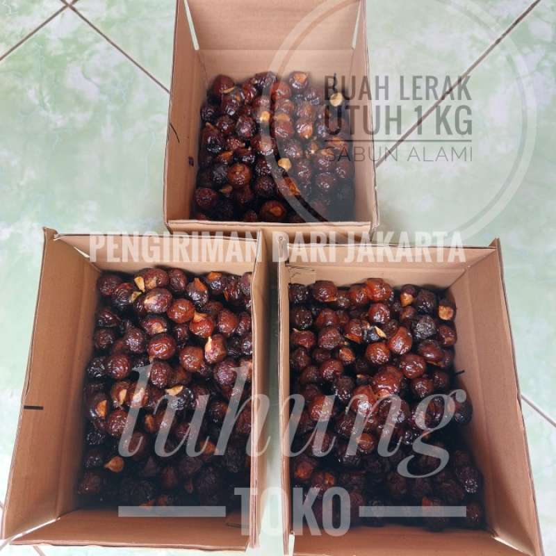Jual Buah Lerak / Soapnut / Soapberry 1 Kg Di Seller Velvet Store ...