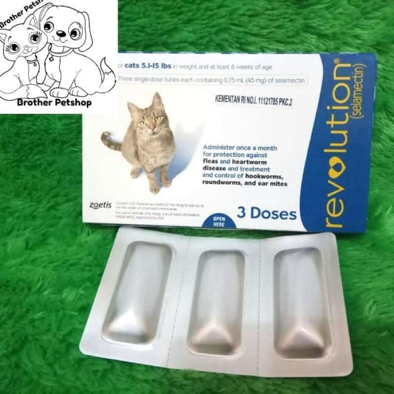 Jual Revolution Cat / Revolution Cat Adult / Obat Kutu Kucing ...