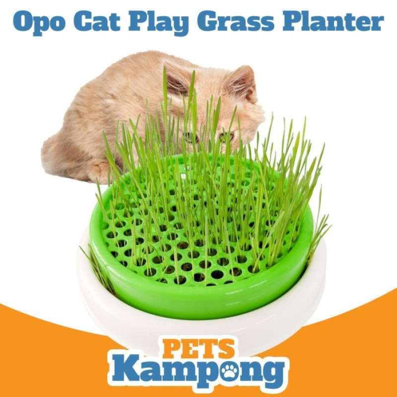 Promo Opo Cat - Cat Grass Planter Tempat Tanam Rumput Kucing Diskon 23% ...