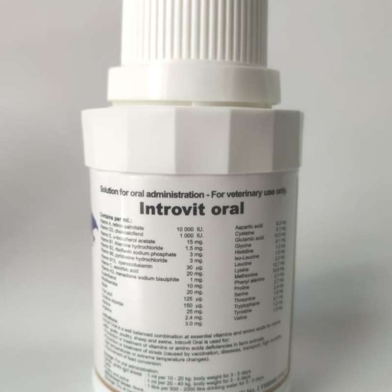 Promo Introvit Oral 100 Ml Holland - Multivitamin Ternak Minum Lengkap ...