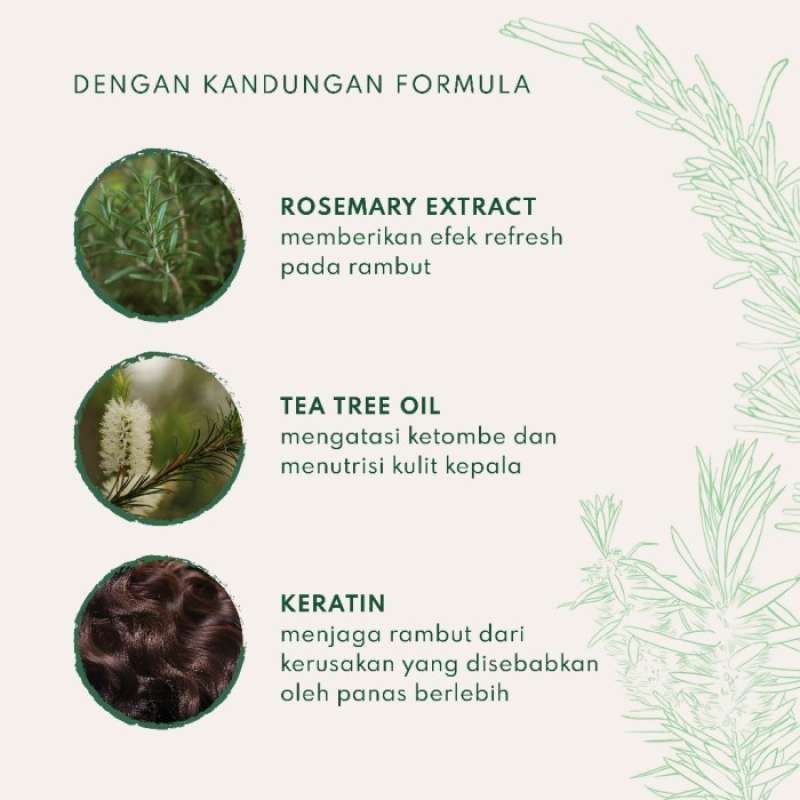 Jual Beamarry Conditioner Rosemary Keratin Tea-tree 380ml Di Seller Pro ...